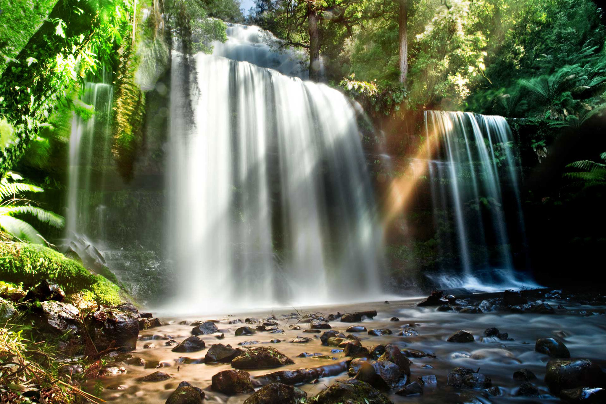 Russell Falls Holiday Cottages - Tasmanian Wilderness Experience ...